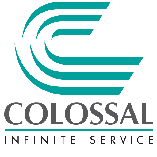 COMPANY PROFILE - Colossal International